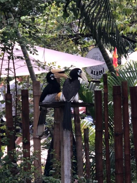 Surf House Langkawi - Malaysia
