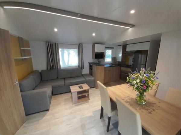 Mobil-home Tout Confort Avec Clim - Biscarrosse