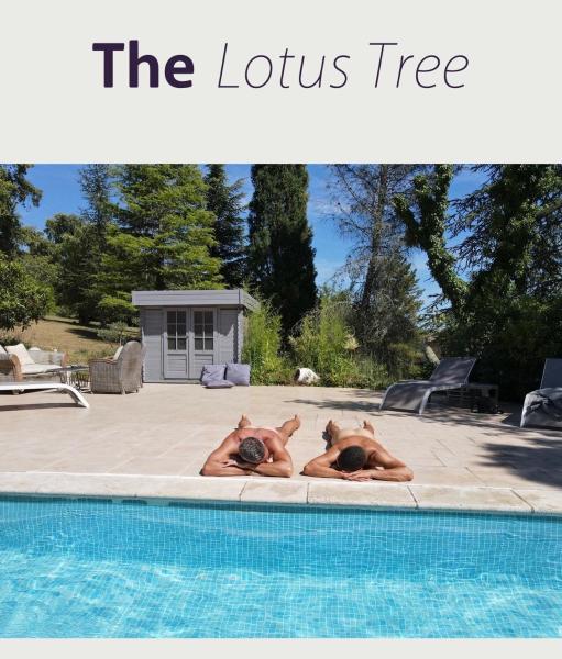 The Lotus Tree - Goudargues