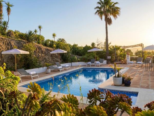 Finca Flamenco Holiday Suites Adults Only - コイン