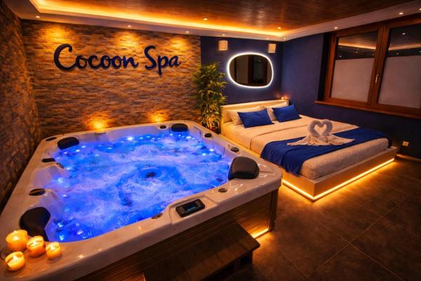 Cocoon Spa-4 Pers-jacuzzi-parking-jardin-clim-colmar - Houssen