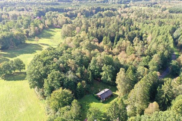 Little Pinecone Lodge A Cozy Forest Retreat - Hörby