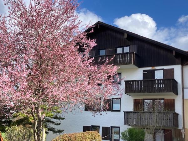 Fewo Alpenveilchen Im Oberallgäu Mit Pool, Sauna Und Tollem Ausblick Vom Großen Balkon - Missen-Wilhams