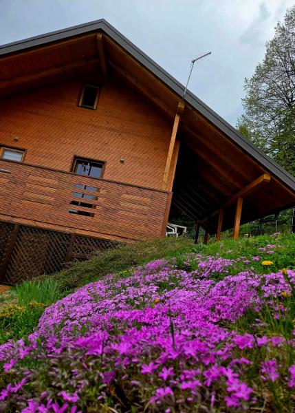 Romantic Cabin In The Woods - Fesnga, Slovenia - Topolšica