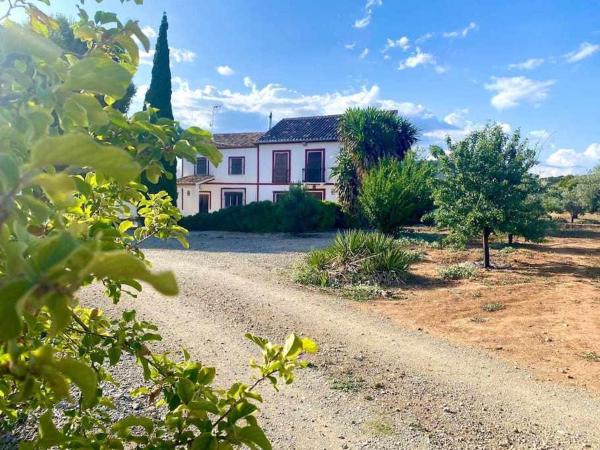 Las Maravillas De Manuel By Solymar Properties - Bobadilla