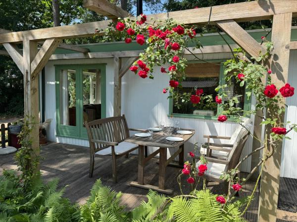 Peaceful Forestpark, Bikes Included, Pool, Dog Welcome - Pays-Bas