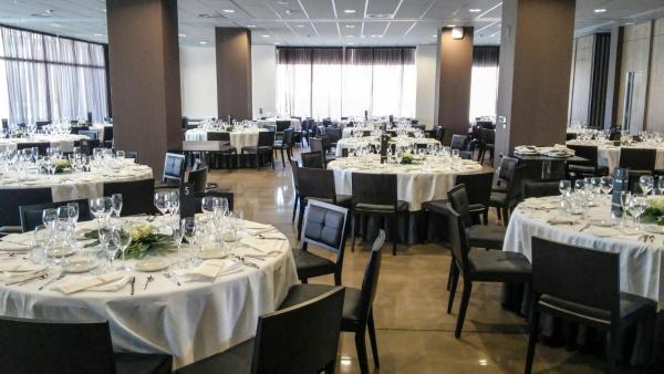 Sercotel Hola Tafalla - Tafalla