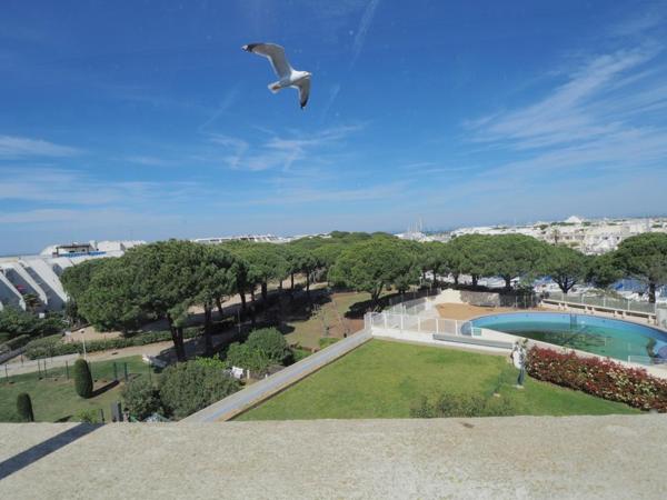 Studio Charmant, Terrasse, Parking - 4 Pers. - Fr-1-874-78 - Aigues-Mortes