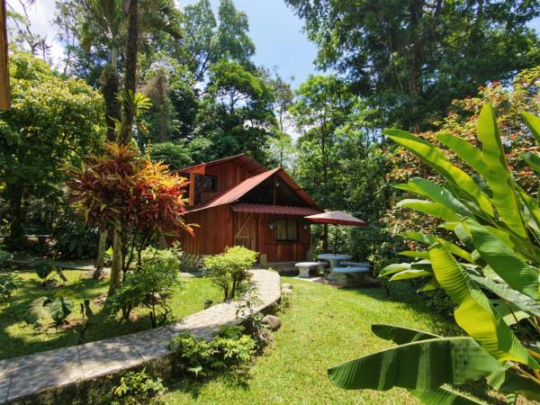 Tropical Forest Adventure Near Arenal Volcano - Costa Rica