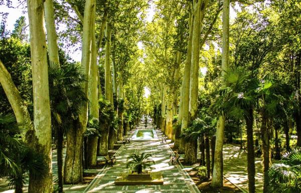 Green Side - Azerbaijan