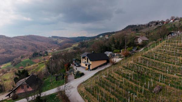 Nogica - Šmarješke Toplice