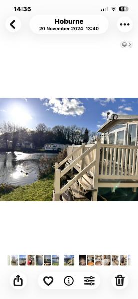 Puddleduck - Wiltshire