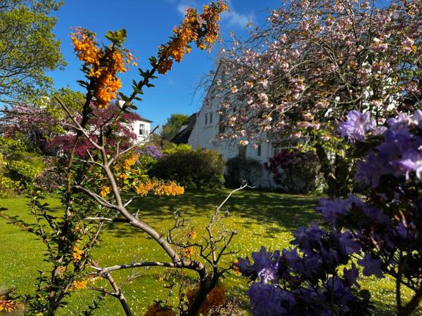 Carmichael - Dunfermline