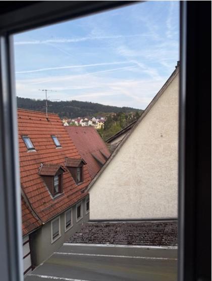 Poseidon Altstadt Apartment - Rothenberg