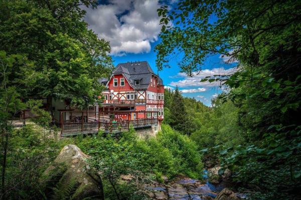Waldgasthaus & Berghotel Steinerne Renne - Harz