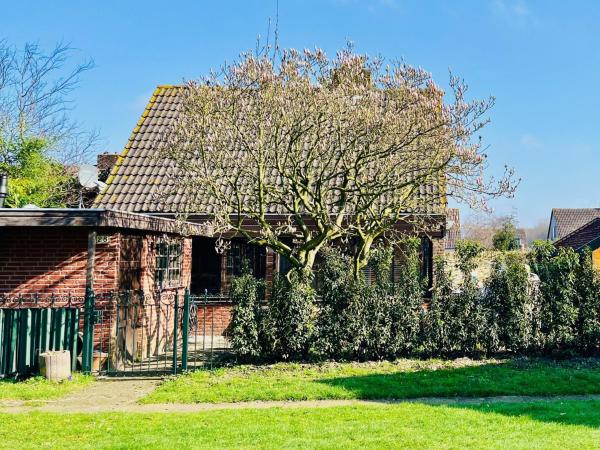 Family Home Near Lake, Beach And Dunes - Lisse