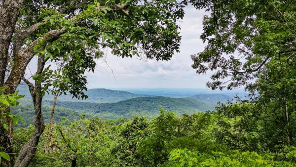 Mountaintop Happy Ours In Big Canoe, Ga - Jasper, GA