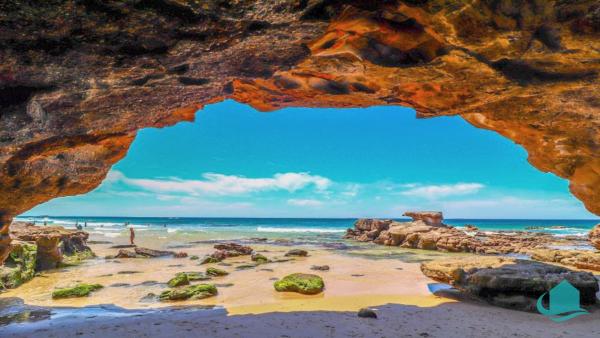 Beachside Oasis - Caves Beach