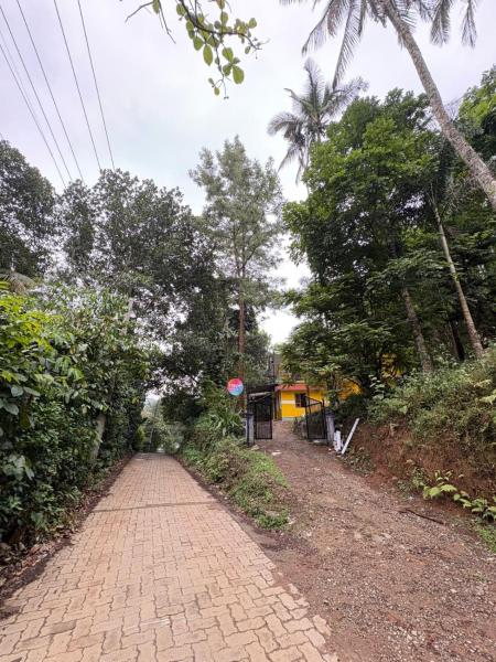 Hope Hostels - Munnar - Kerala