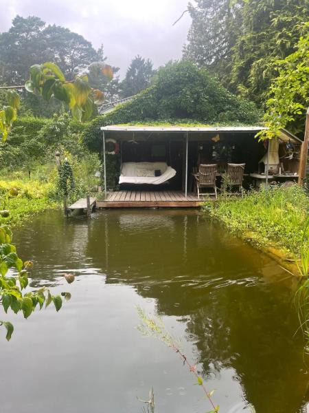 Oase Mit Schwimmteich Und Sauna - Hamburg