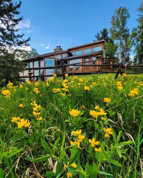 Fairplay Coyote Cabin - Fairplay, CO