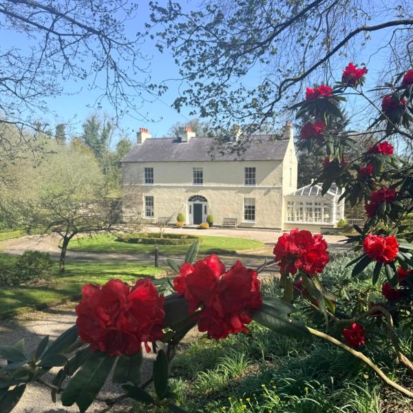 Larchmount House B&b - Derry
