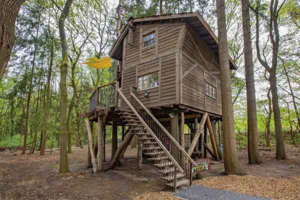 Boomhut Drouwenerzand - Drenthe