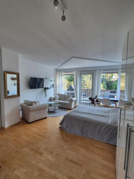 Sonnige Loft Mit Dachterasse - Taunusstein