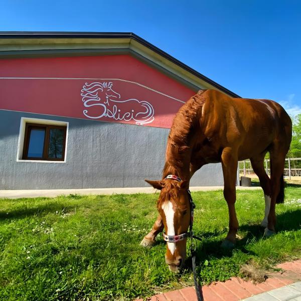 Casa Vacanze Centro Ippico I Salici - Morcote