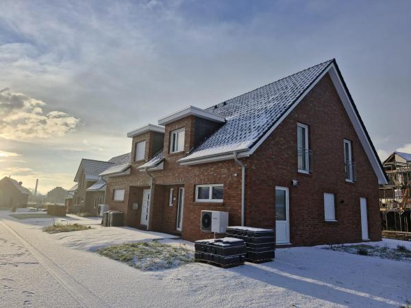 Silbermöwe - Nordsee