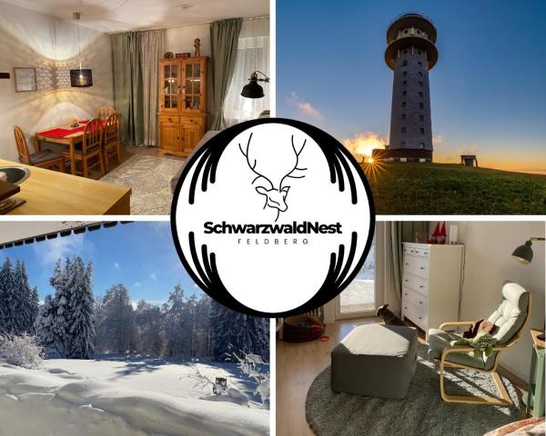 Ferienwohnung "Schwarzwald-nest", Feldberg - Breitnau