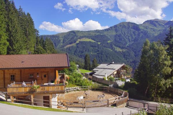 Readynow Alpine Resonanz Camp Für Mentale Klarheit - Wattens