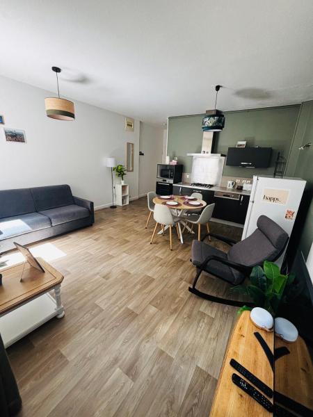 Appartement T2 Cosy Au Centre Du Puy En Velay - Le Puy-en-Velay