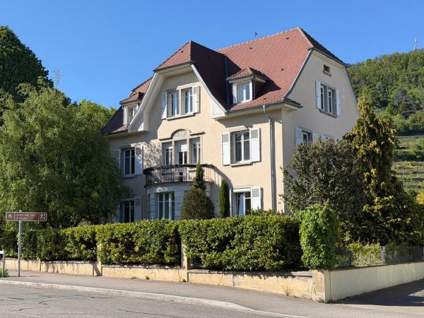 Villa Des Vignes - Munster, France