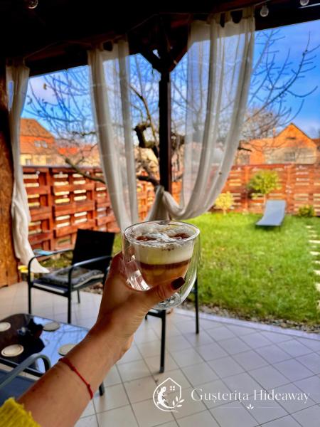 Gusterita Hideaway - Sibiu