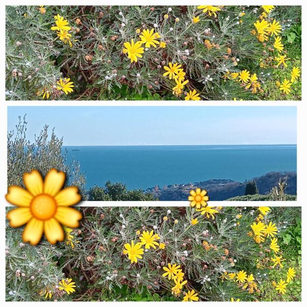 Tramonti E Mare, Vista Mare Giardino, La Casa Che In Ogni Stagione Si Trasforma! - Stella