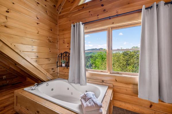 New Game Rm, Nerf, Outdoor Pool, Sauna, Hottub - Pigeon Forge, TN