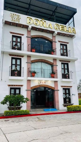 Hotel Doña Celia - Aguascalientes