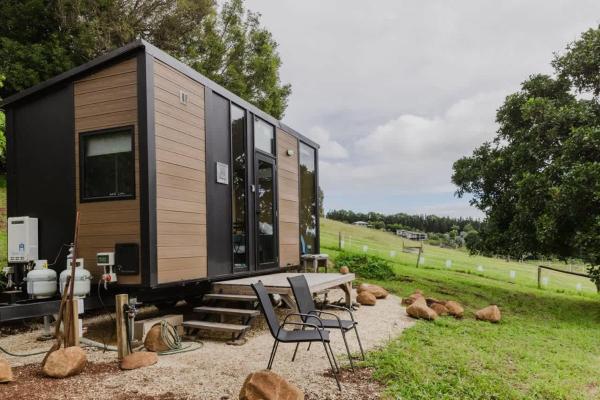 8 Farm Macadamia Plantation 2 By Tiny Away - Lennox Head