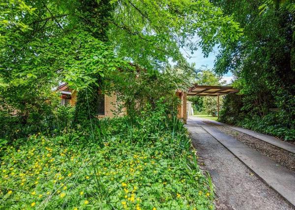 Camelia Place, Bright - Bright