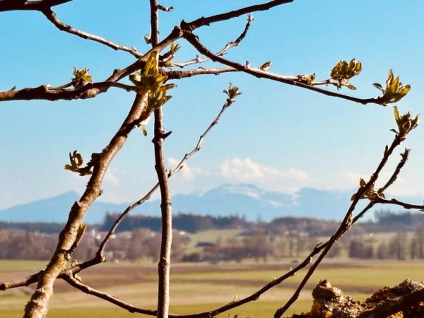 Panoramablick Am Herzoghof - Chiemsee