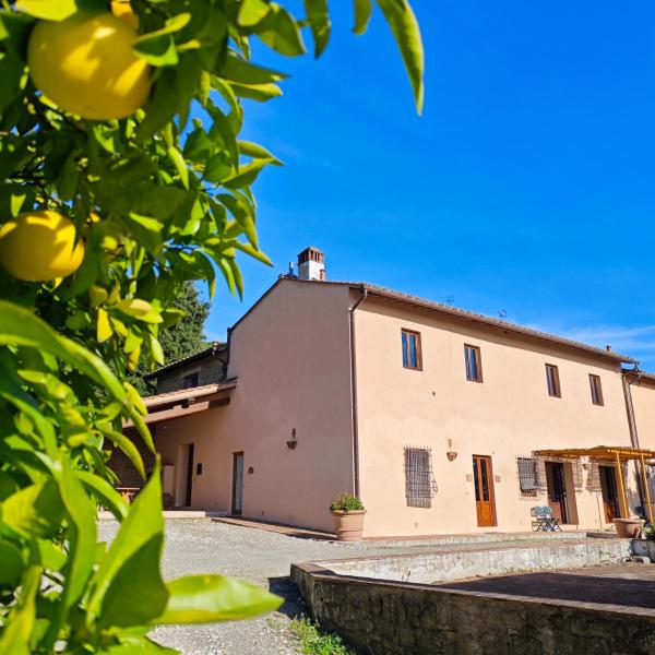 Francesca Apartment - Toscana