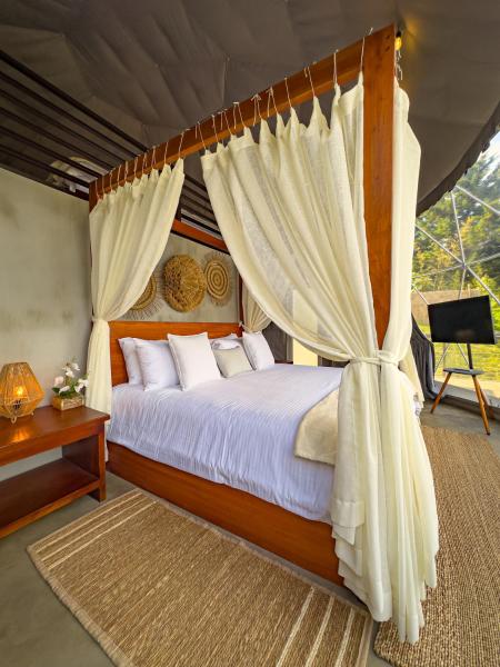 Cardedeu Domos - El Salvador