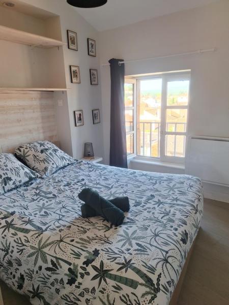 Appartement Cosy Idéalement Placé Centre Issoire-superbe Vue Sancy Et Livradois-forez-wifi - Issoire