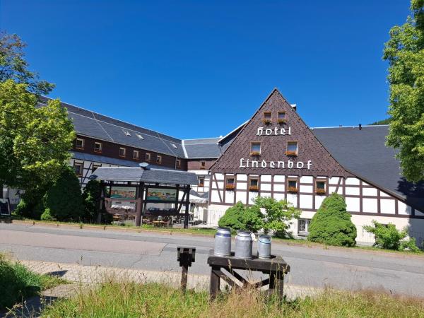 Naturhotel Lindenhof - Holzhau