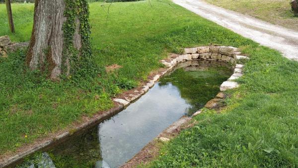 Domaine Du Moulin De La Roque - Hébergement De La Source - Pierre & Eau - Périgord - Castelnaud-la-Chapelle