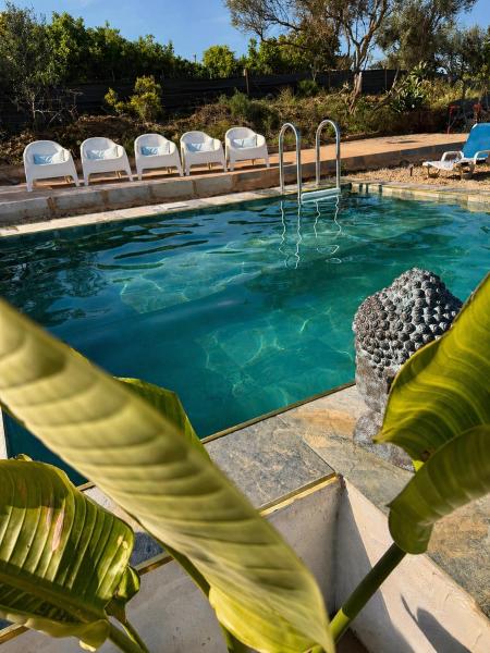 Casa Oliveira - Portugal