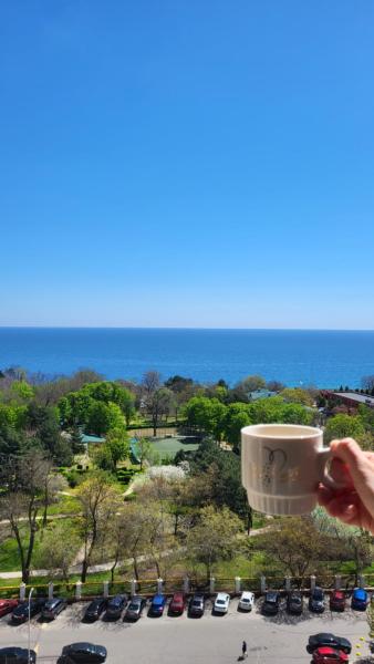 Sea View Apartment In Arcadia Gagarin Plato - Odesa