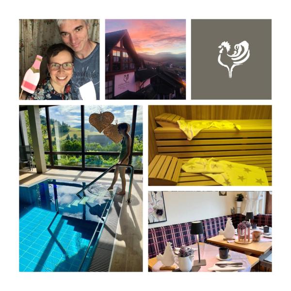 Goldener Hahn B&b Ferienwohnungen Pool & Sauna Near Medicenter - Baiersbronn