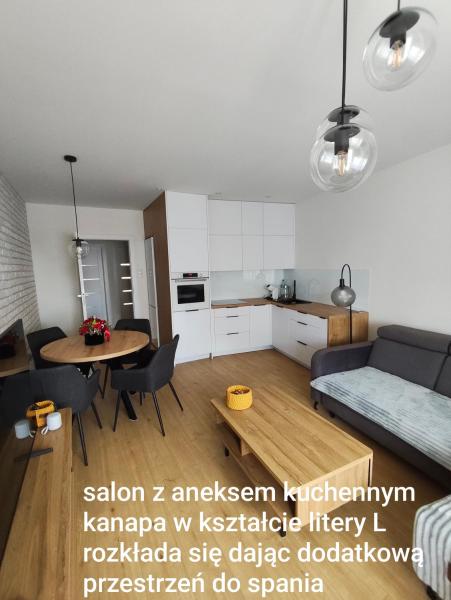 Apartament Sobieskiego - Torun